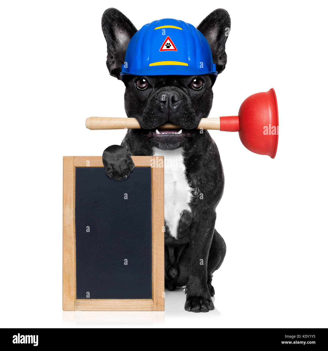 handyman french bulldog dog worker with helmet and plunger in mouth ...