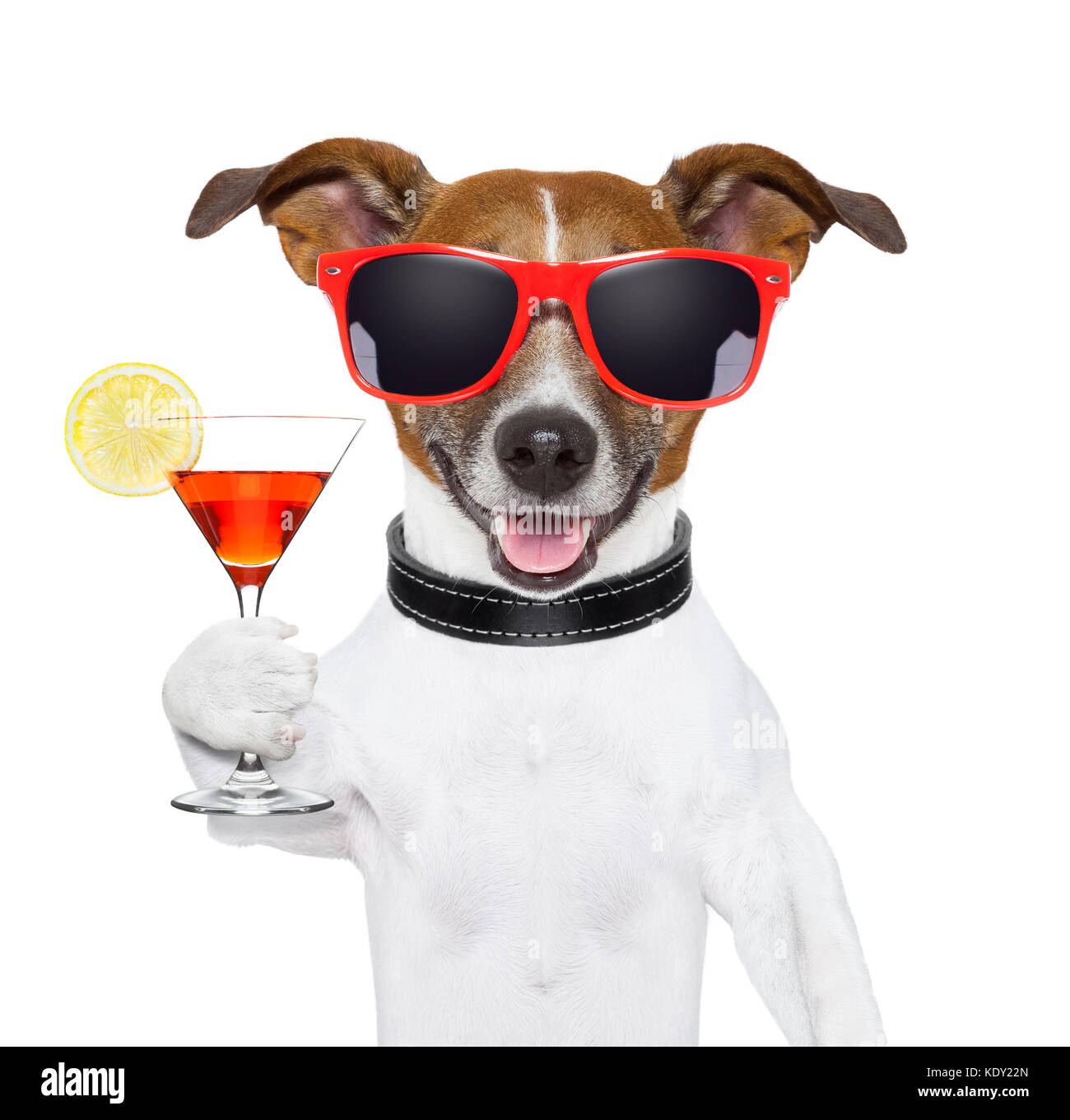 Funny cocktail hi-res stock photography and images - Alamy