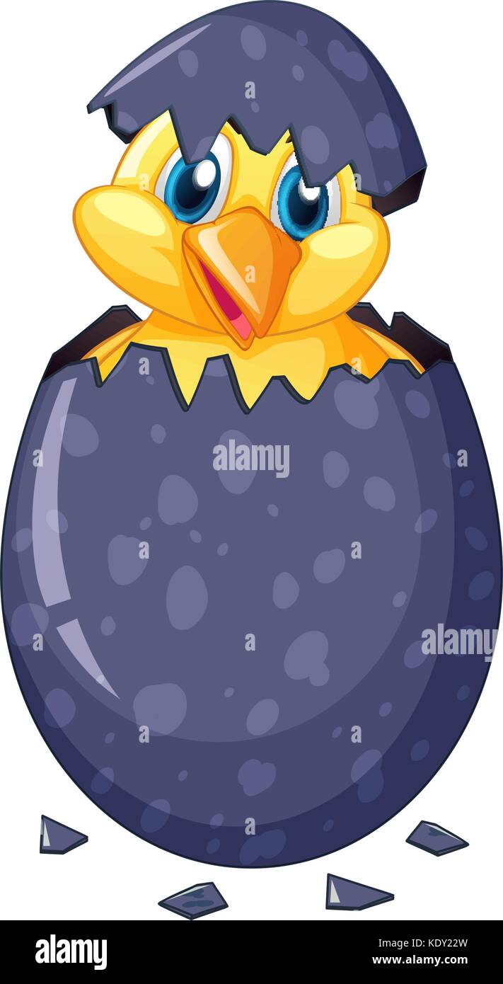 Little chick hatching egg illustration Stock Vector Image & Art - Alamy