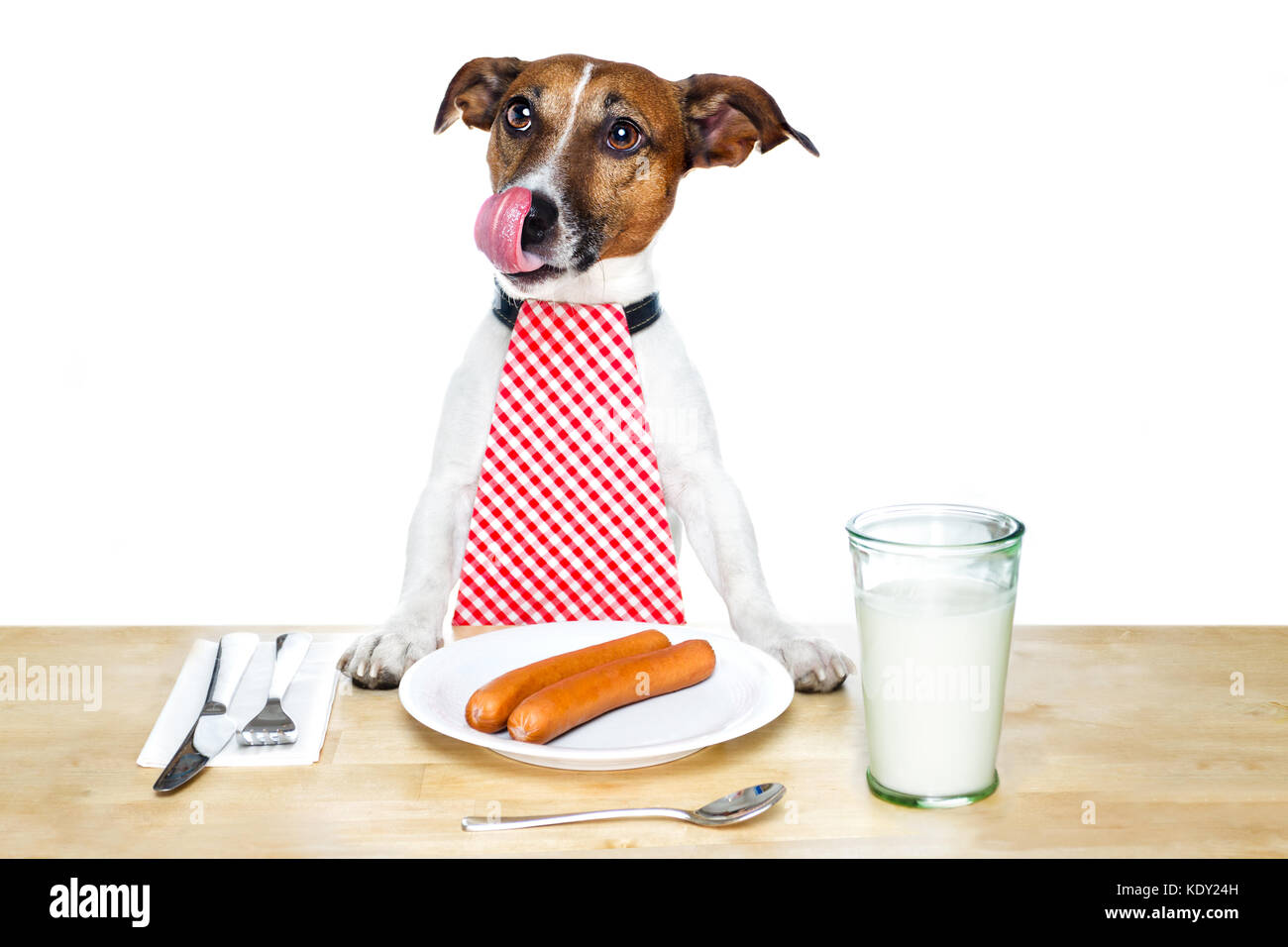 dinner meal at table dog Stock Photo - Alamy