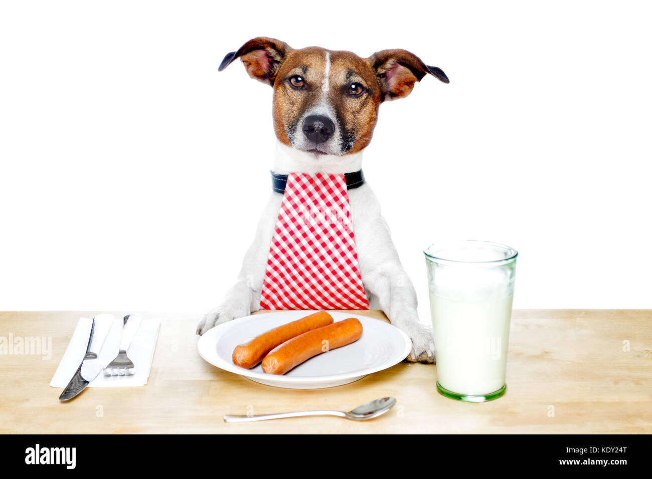 dinner meal at table dog Stock Photo - Alamy