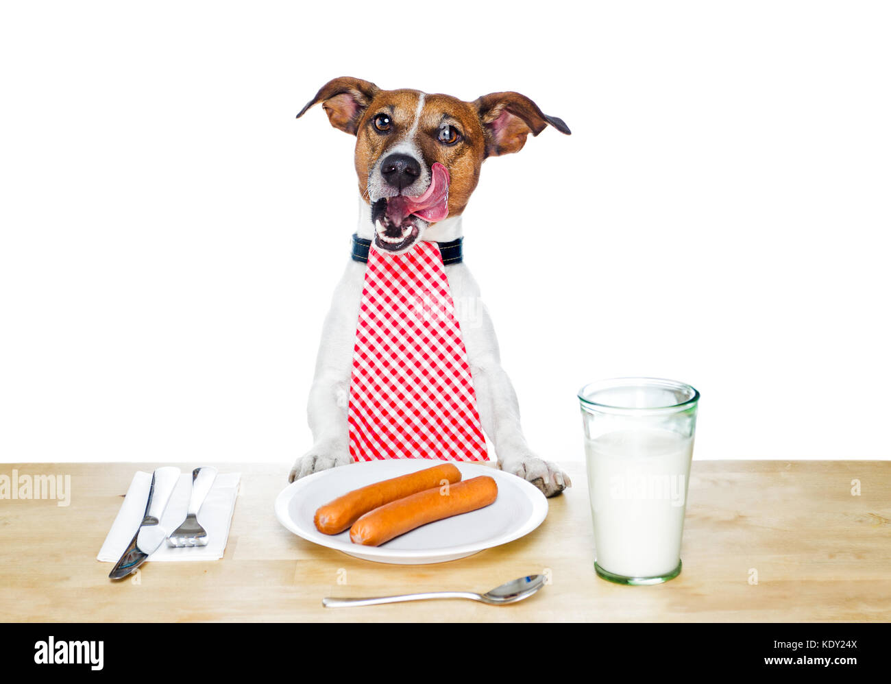 dinner meal at table dog Stock Photo - Alamy