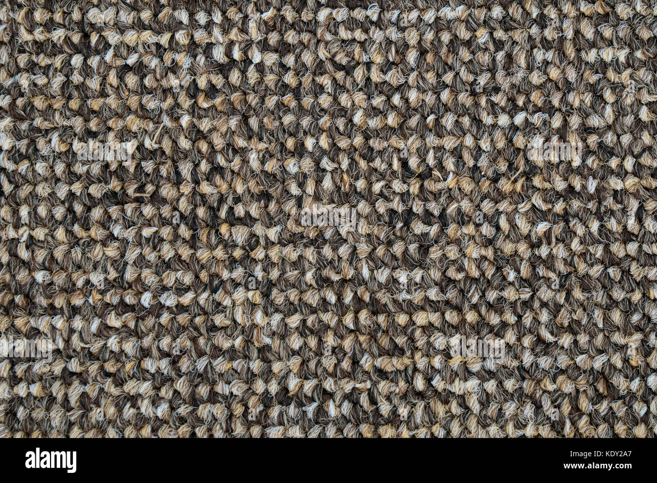 Beige brown carpet texture hi-res stock photography and images - Alamy