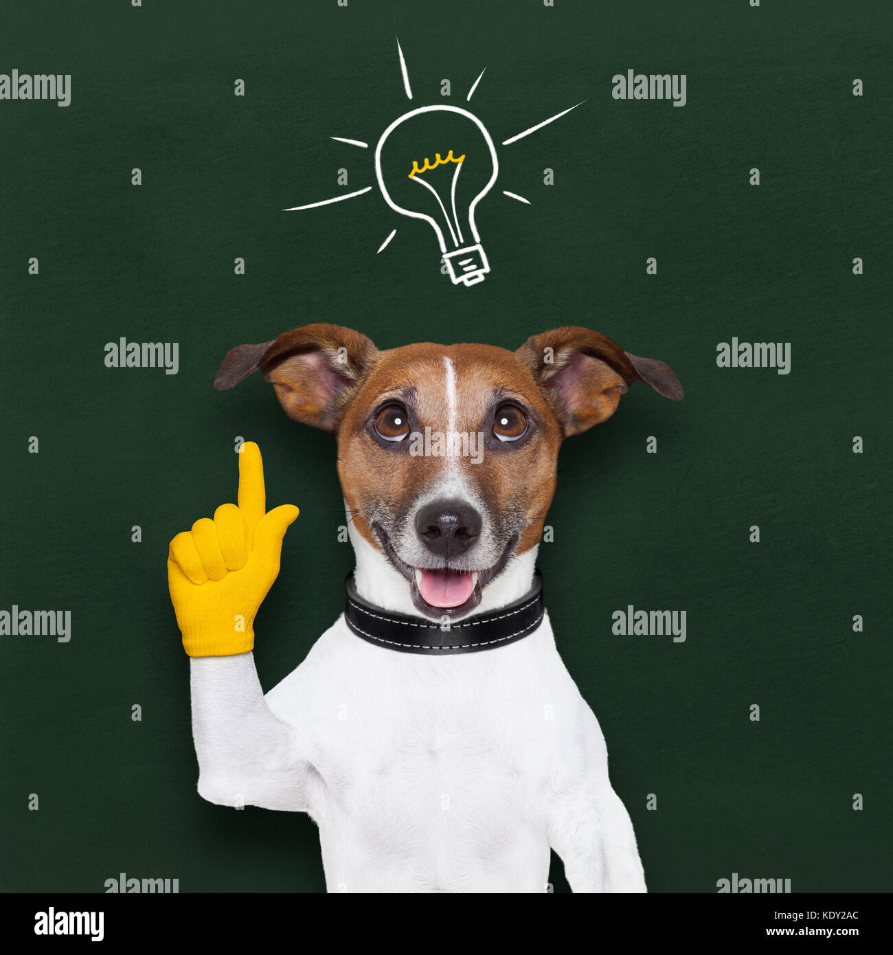 smart and clever dog with a light bulb on blackboard Stock Photo - Alamy