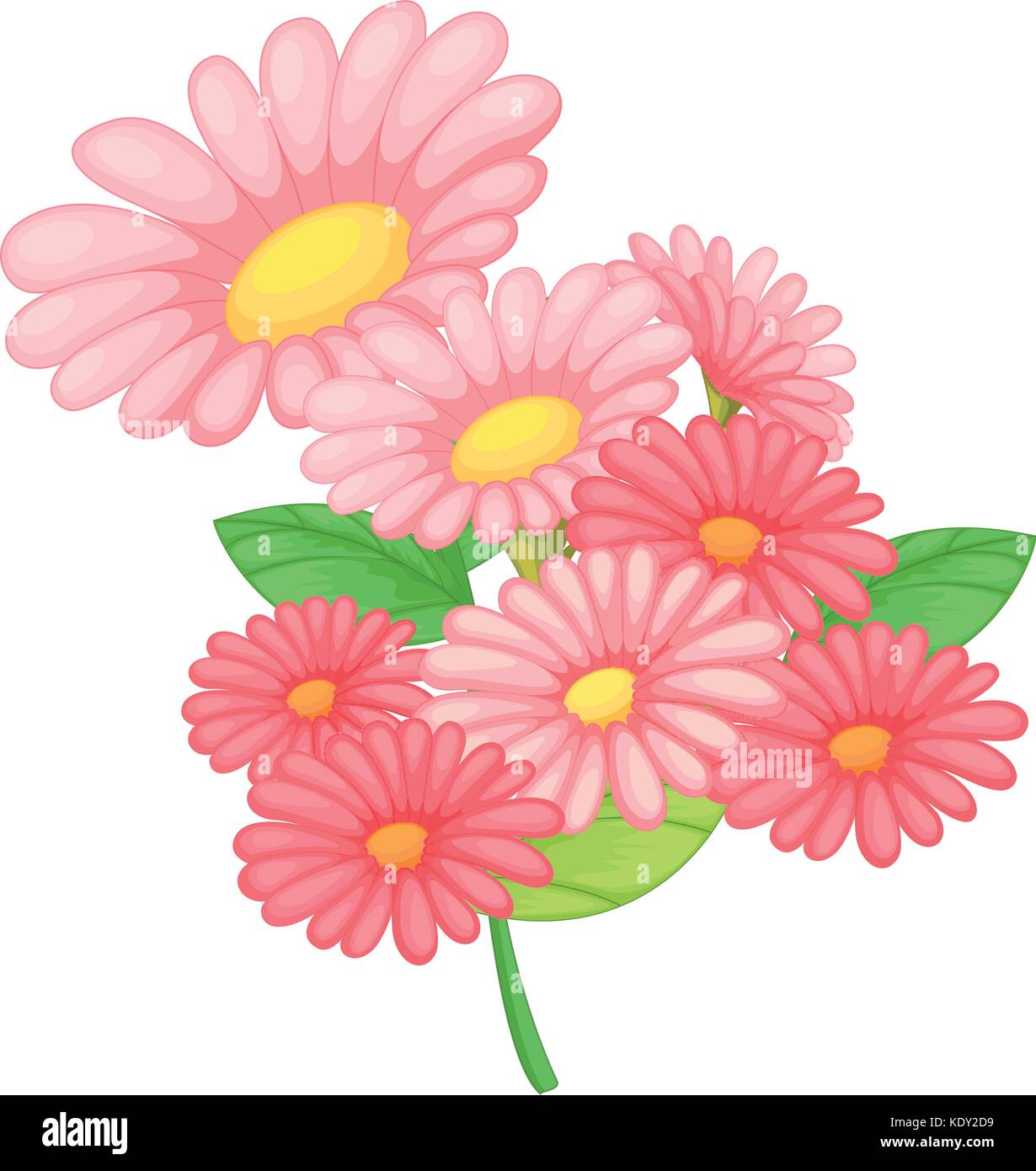 Pink flowers on white background illustration Stock Vector Image & Art ...