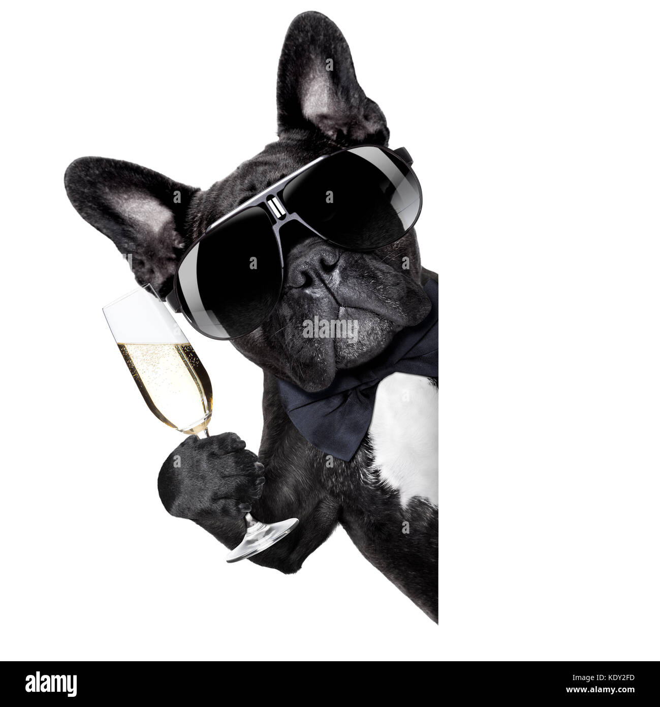 Tie toasting hi-res stock photography and images - Alamy