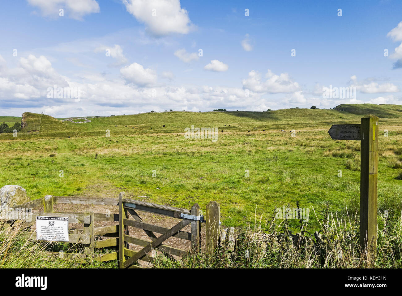 Northumberland sign warning of farm animals and to control dogs beside ...