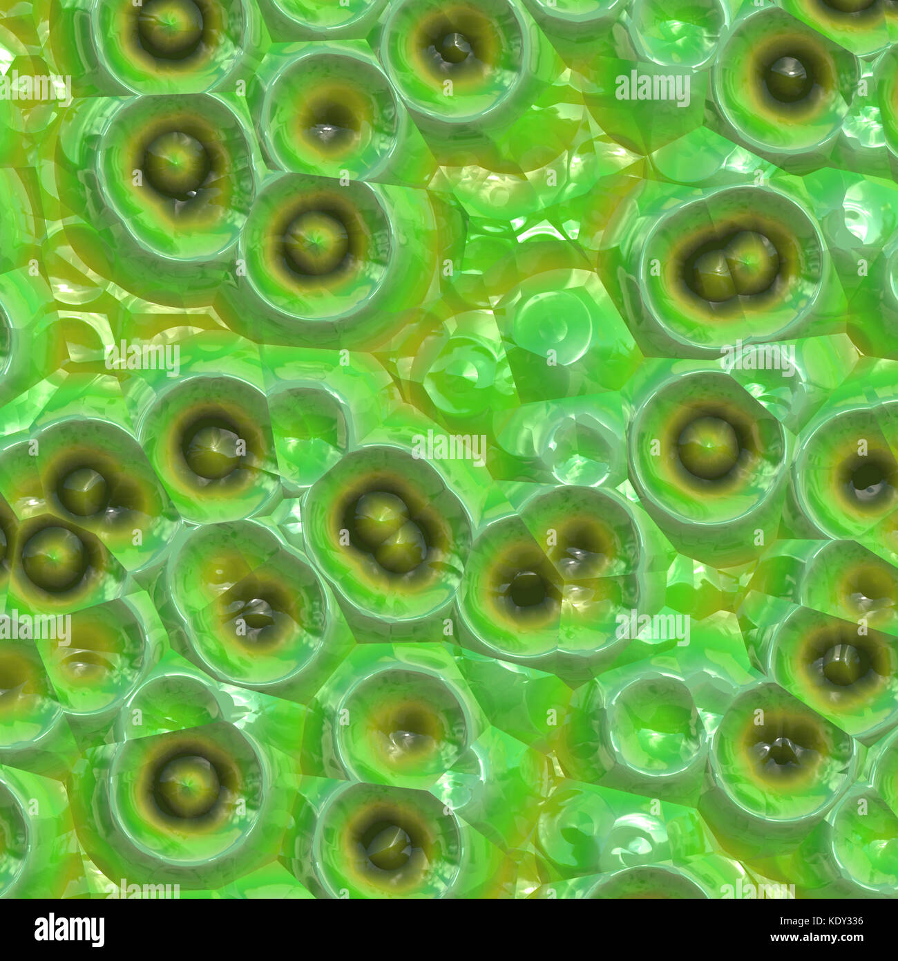 Plant tissue under high magnification Stock Photo - Alamy