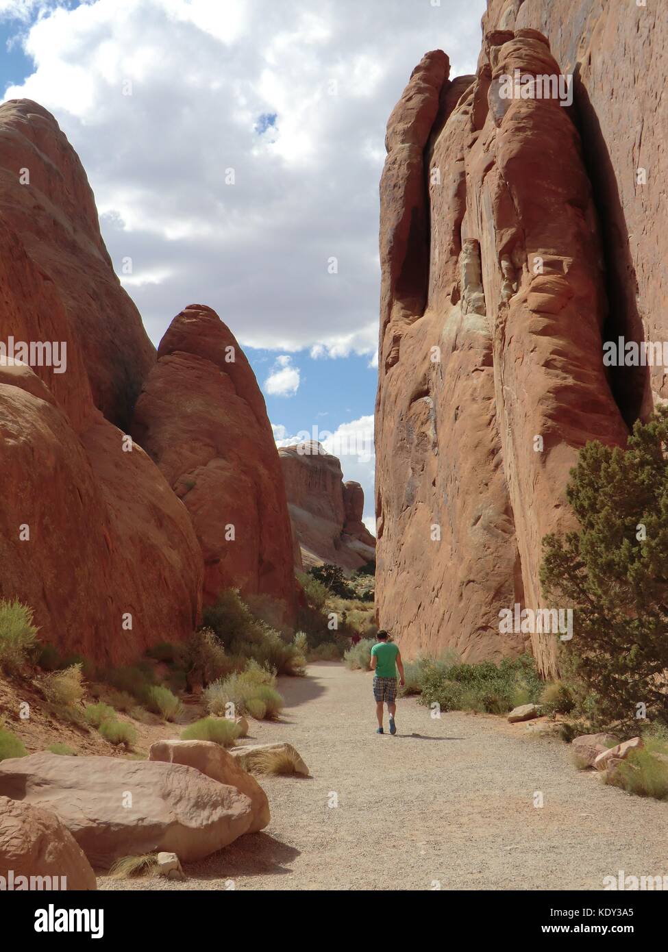 USA - Arches national park Stock Photo - Alamy