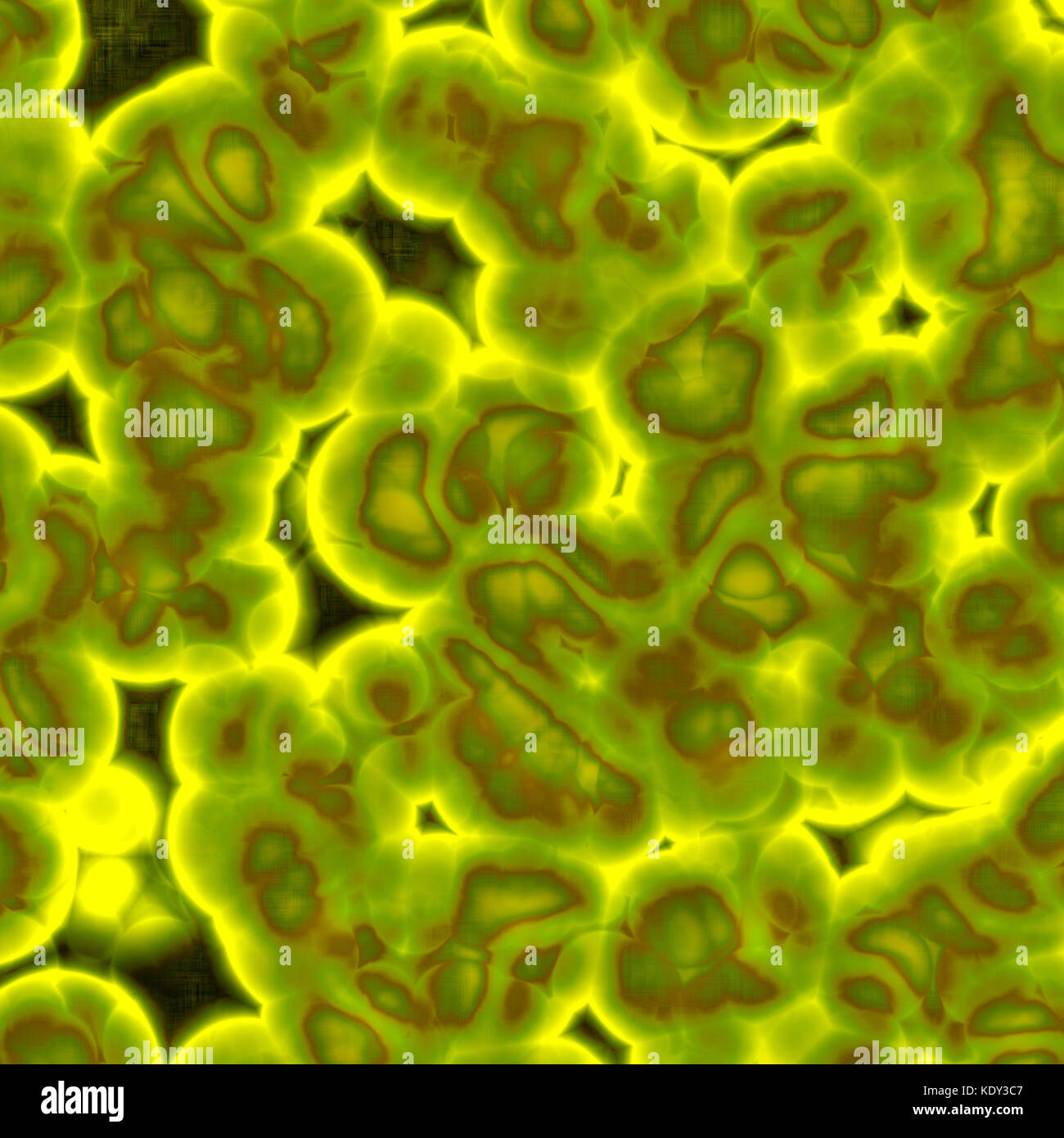 Organic cells under high level of magnification Stock Photo - Alamy