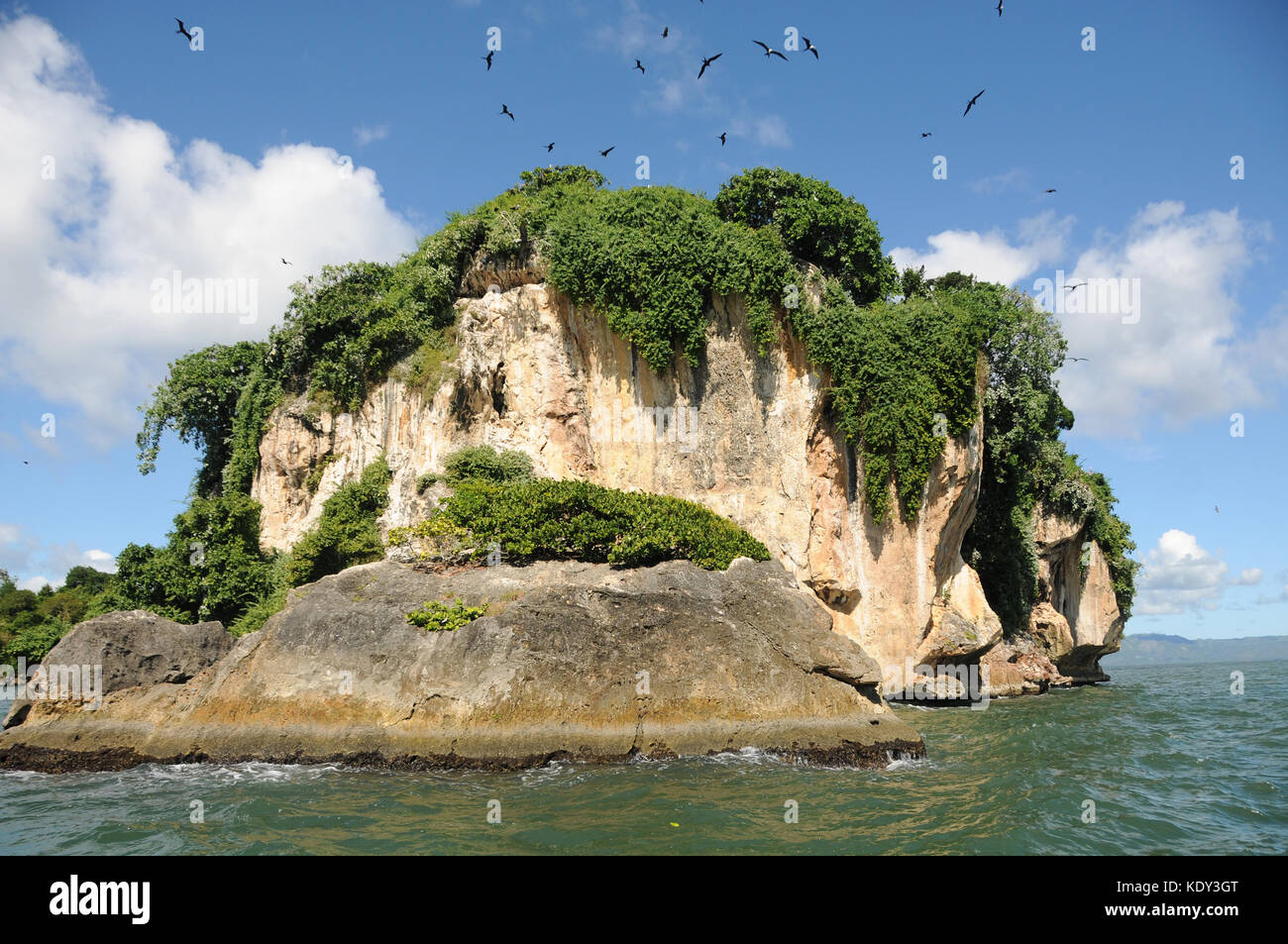 Remote uninhabited island surrounded by birds Stock Photo - Alamy