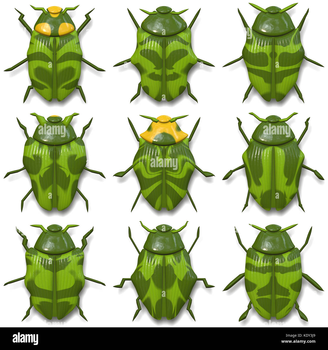 Nine small green beetles isolated on white Stock Photo - Alamy