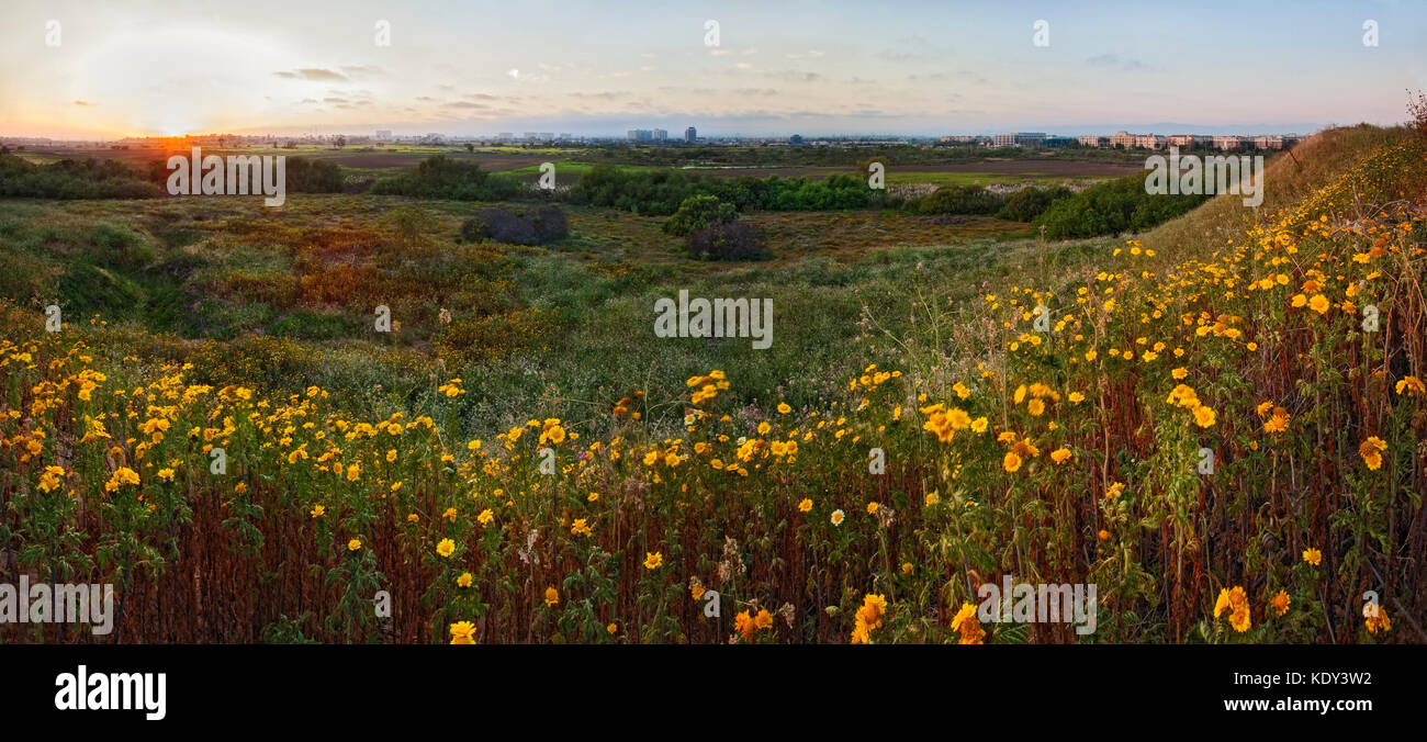 Ballona Wetlands is one of the last remaining wetlands in the Los ...