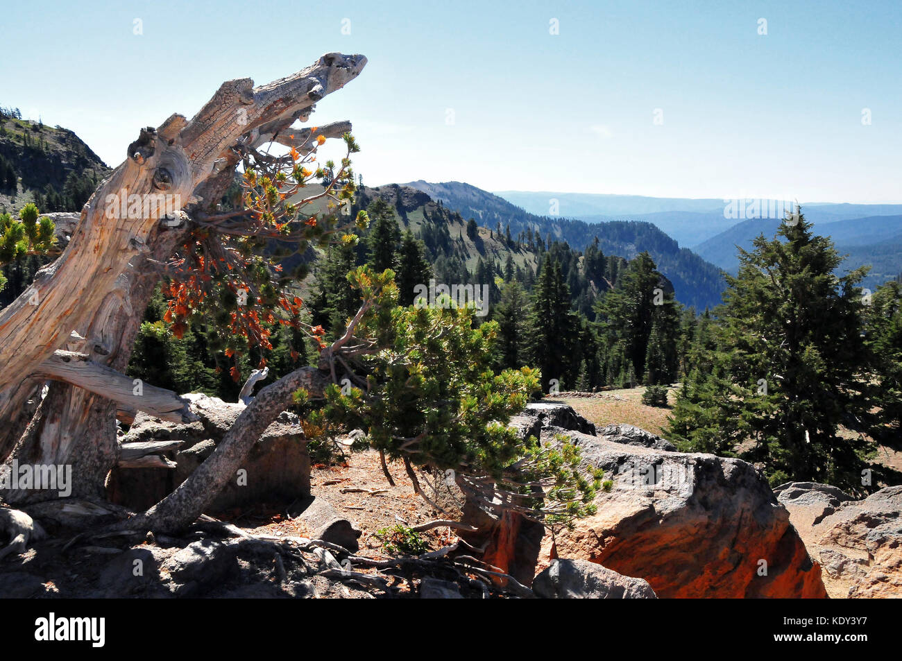 Mt. Lassen Volcanic National Park overs visitors some of the nation's ...