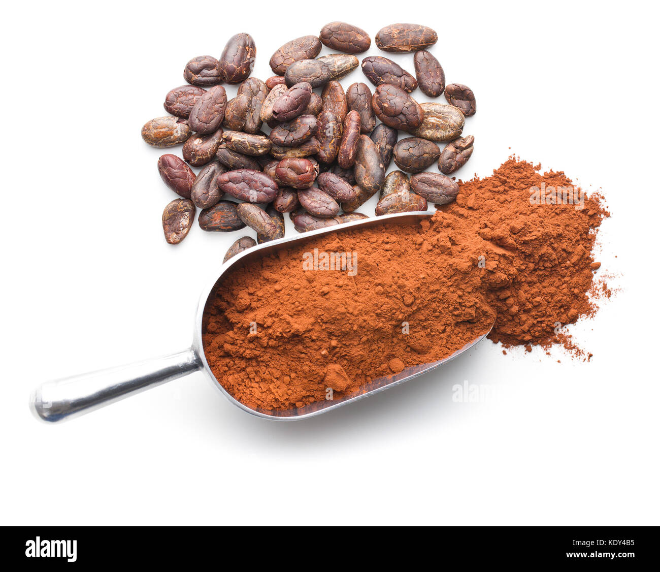 Tasty cocoa powder and beans in scoop isolated on white background ...