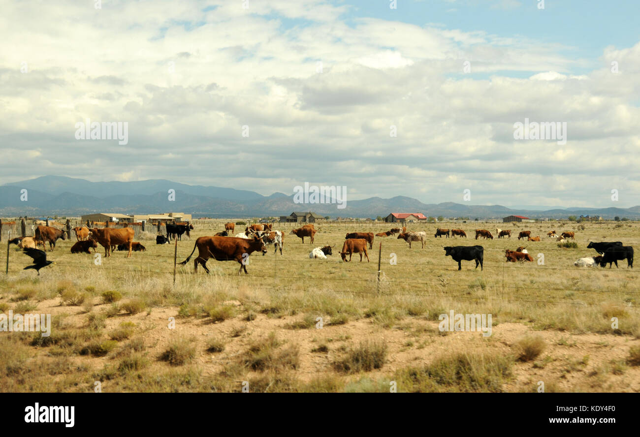 Northern New Mexico Ranches