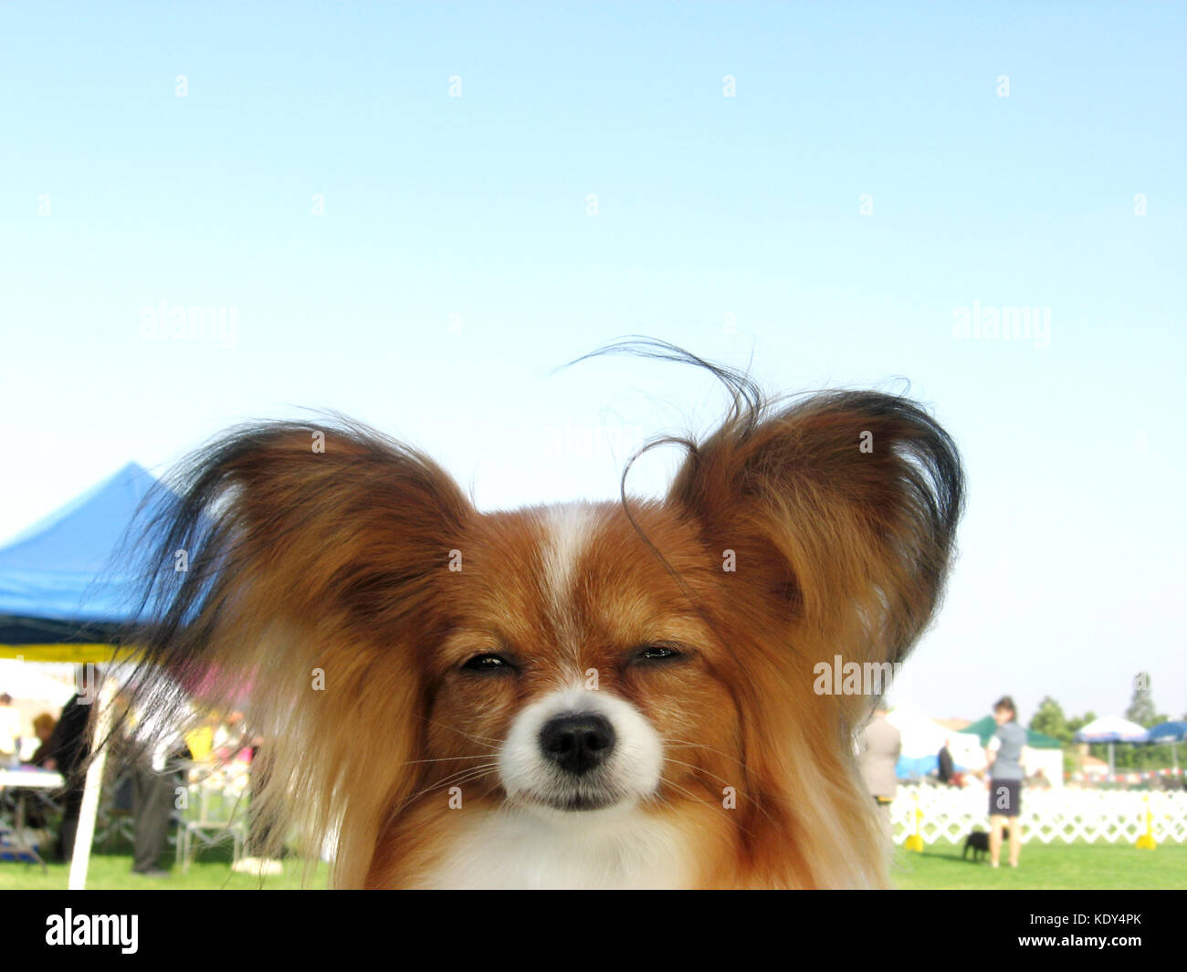 Saucy show hi-res stock photography and images - Alamy