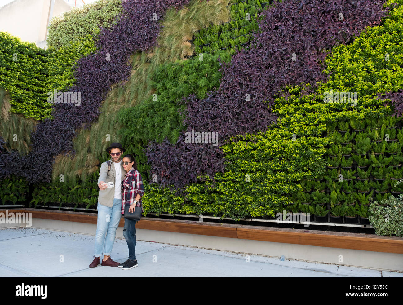 The Green Living Wall in Paphos old town, Cyprus. The vertical garden ...
