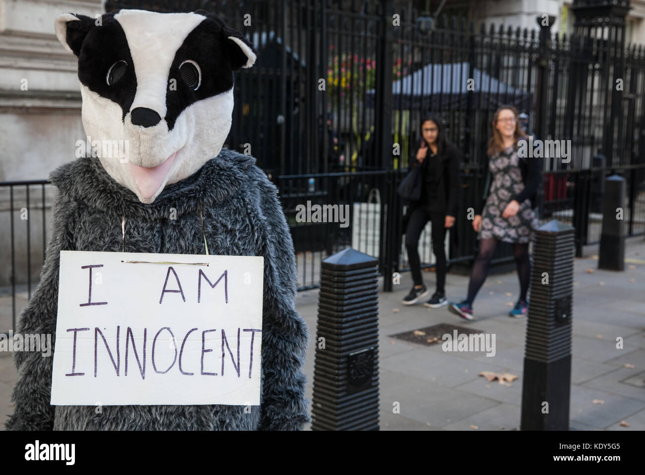 London, UK. 12th October, 2017. An activist wearing a badger costume ...