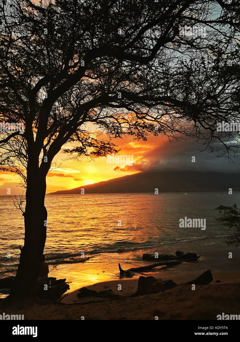 Old images hawaii hi-res stock photography and images - Alamy