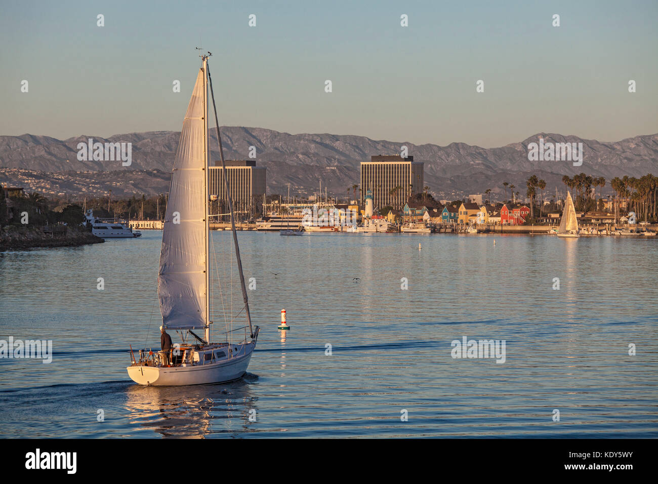 Marina del rey in southern hi-res stock photography and images - Alamy