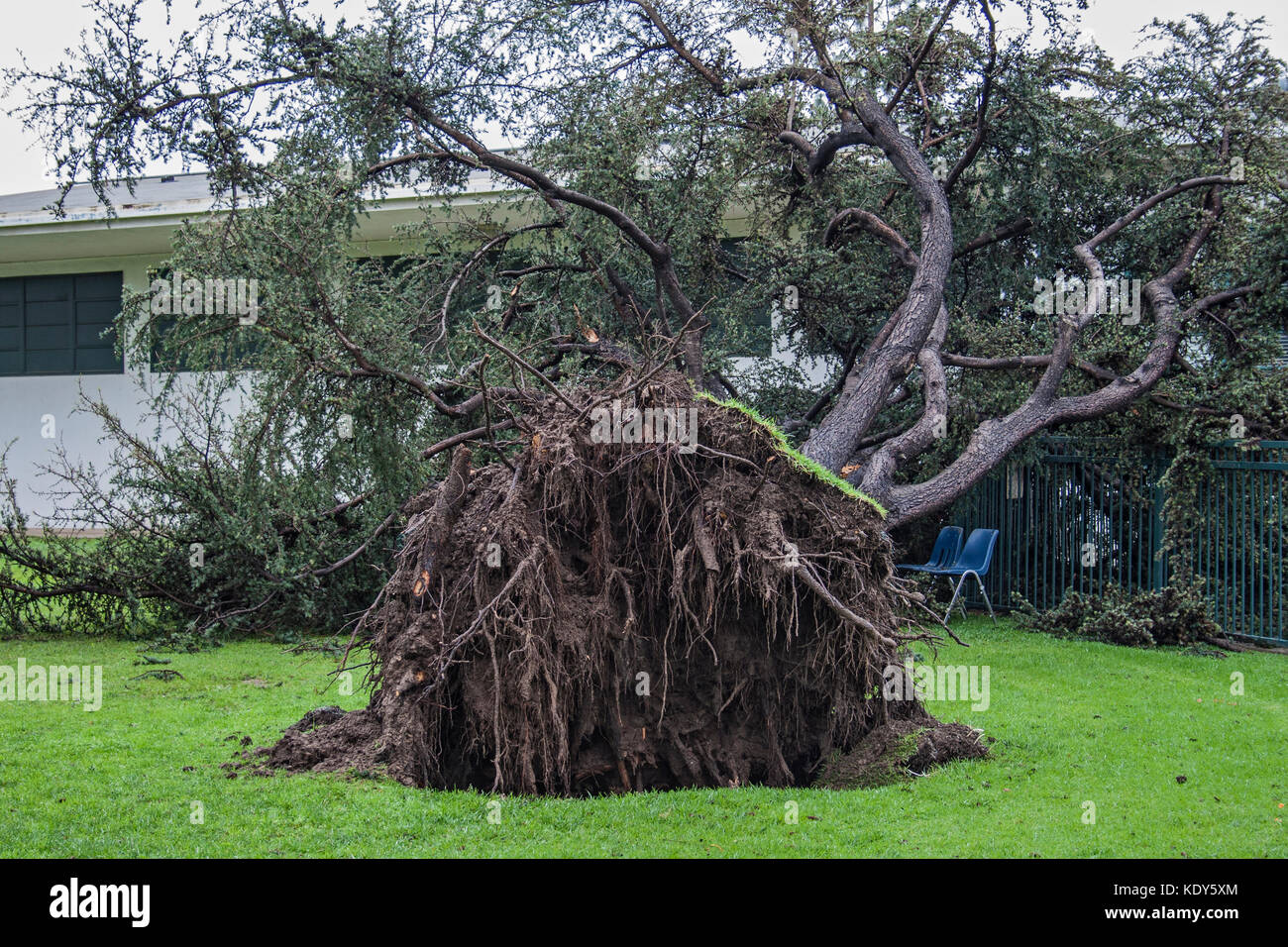 Heavy winds hi-res stock photography and images - Alamy