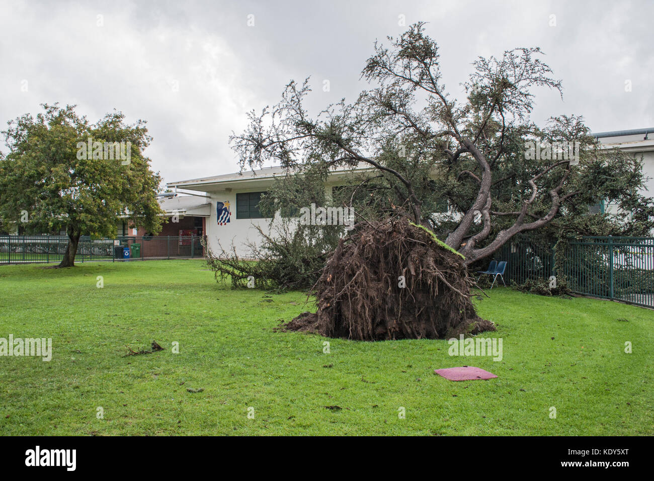 Heavy Winds Stock Photos & Heavy Winds Stock Images - Alamy