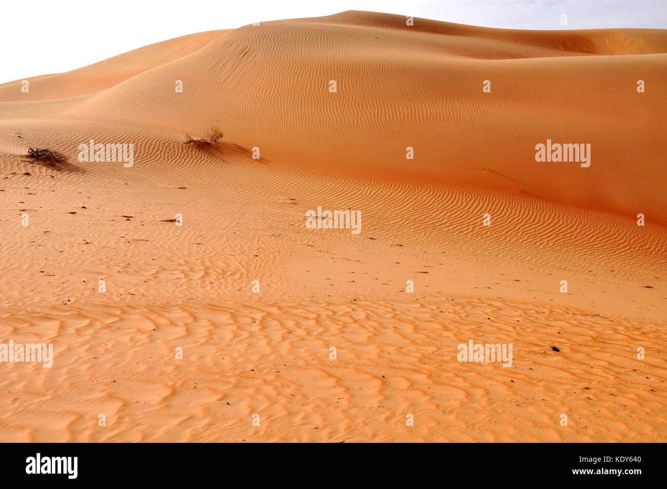 Wind-formed patterns in this collection of sand in the Arabian Desert ...