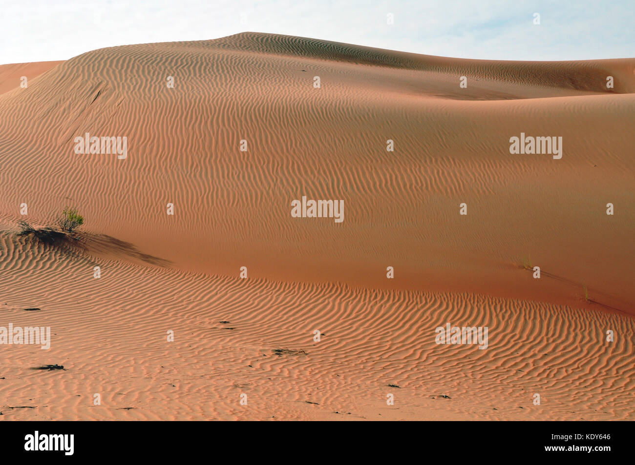 Wind-formed patterns in this collection of sand in the Arabian Desert ...