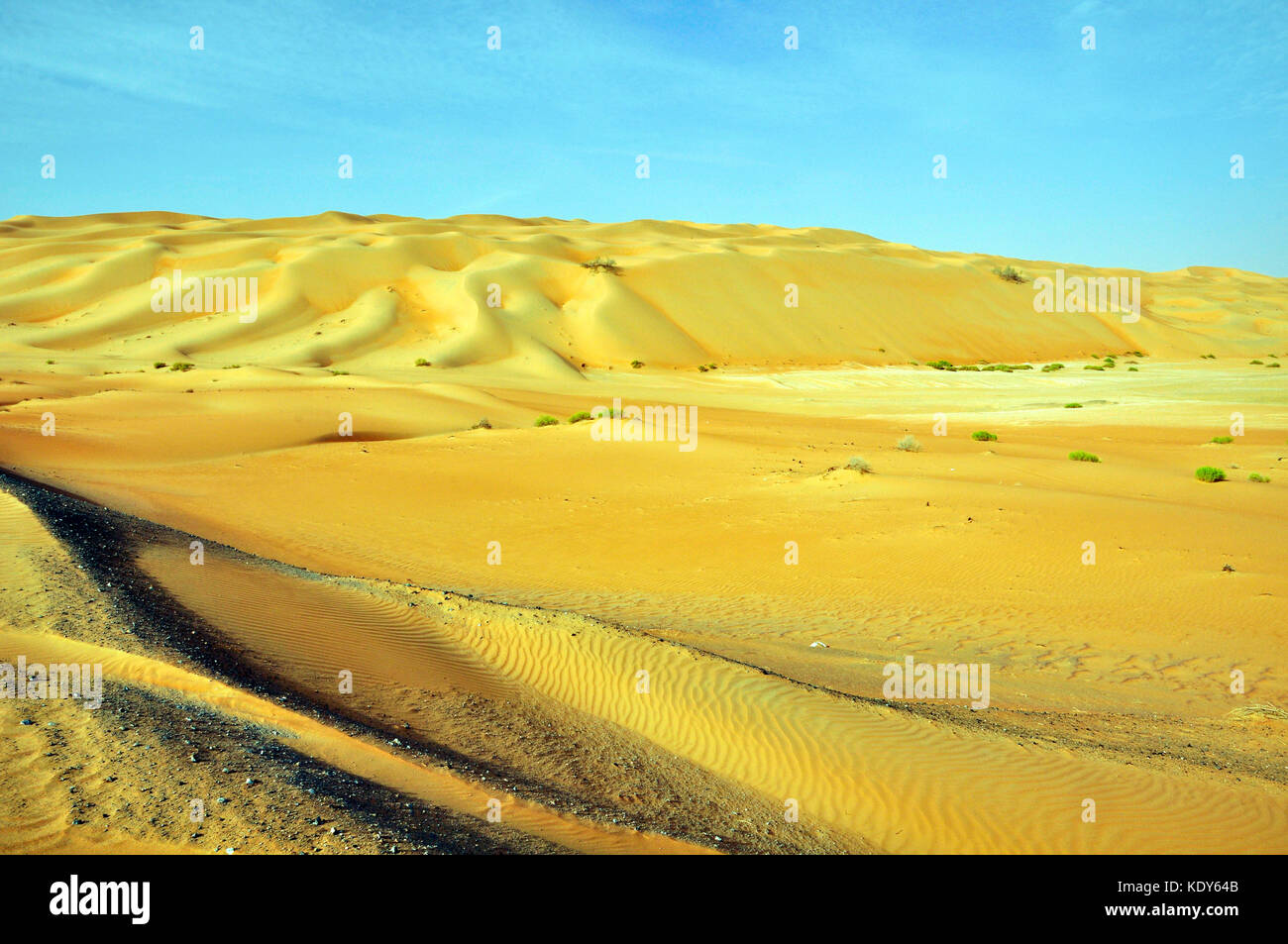 Wind-formed patterns in this collection of sand in the Arabian Desert ...