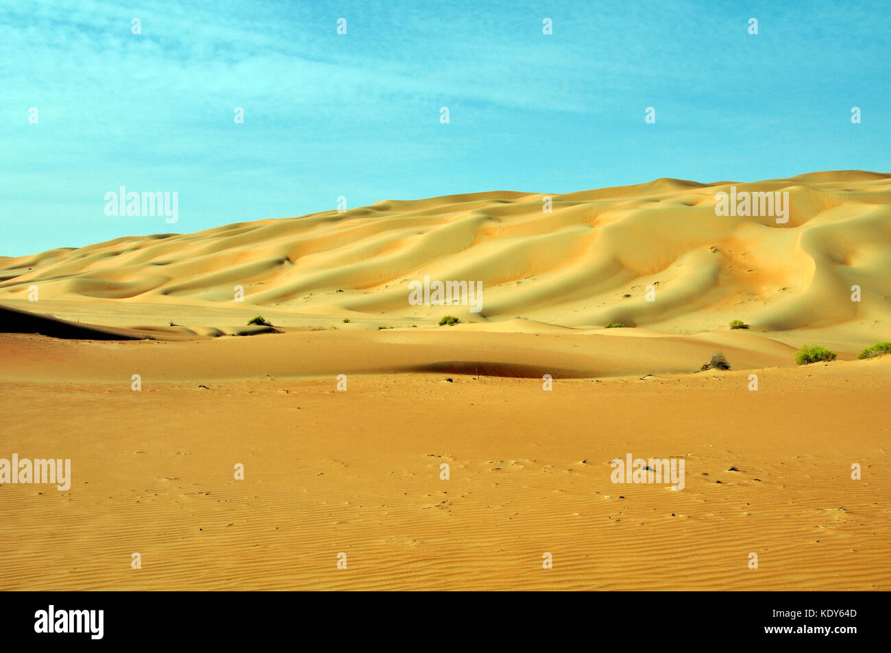 Wind-formed patterns in this collection of sand in the Arabian Desert ...