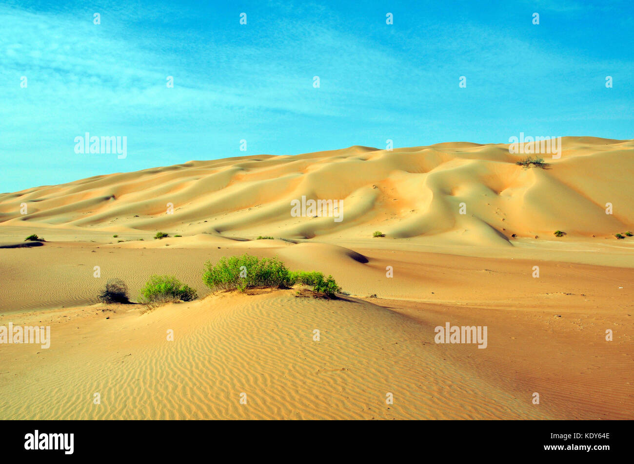 Wind-formed patterns in this collection of sand in the Arabian Desert ...