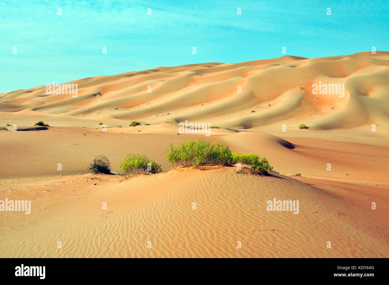 Wind-formed patterns in this collection of sand in the Arabian Desert ...
