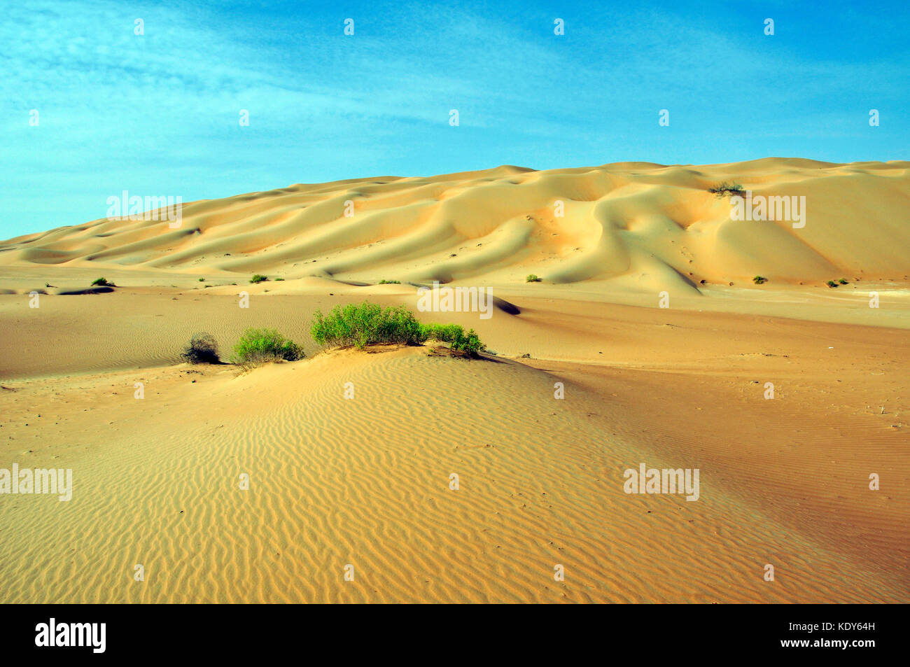 Wind-formed patterns in this collection of sand in the Arabian Desert ...
