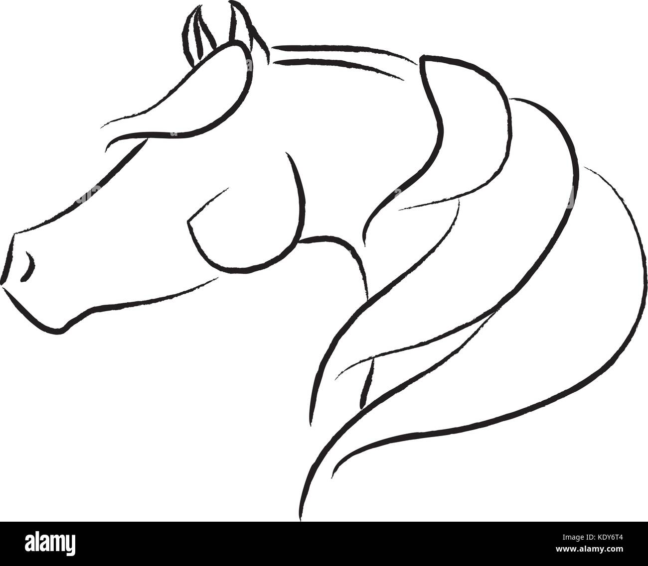 Arabian mare foal Black and White Stock Photos & Images - Alamy