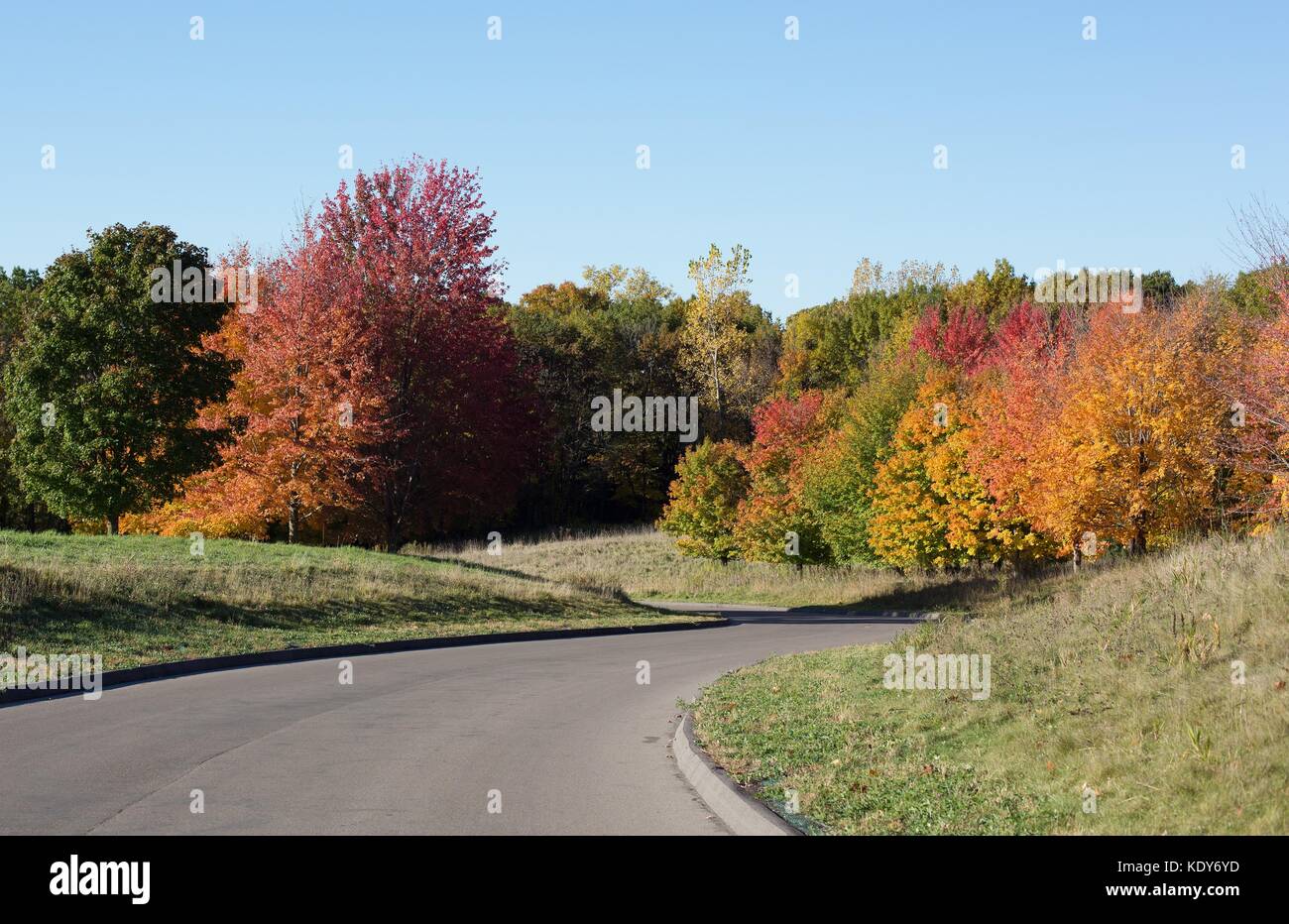 A road winds through trees with fall colors at the Minnesota Landscape ...