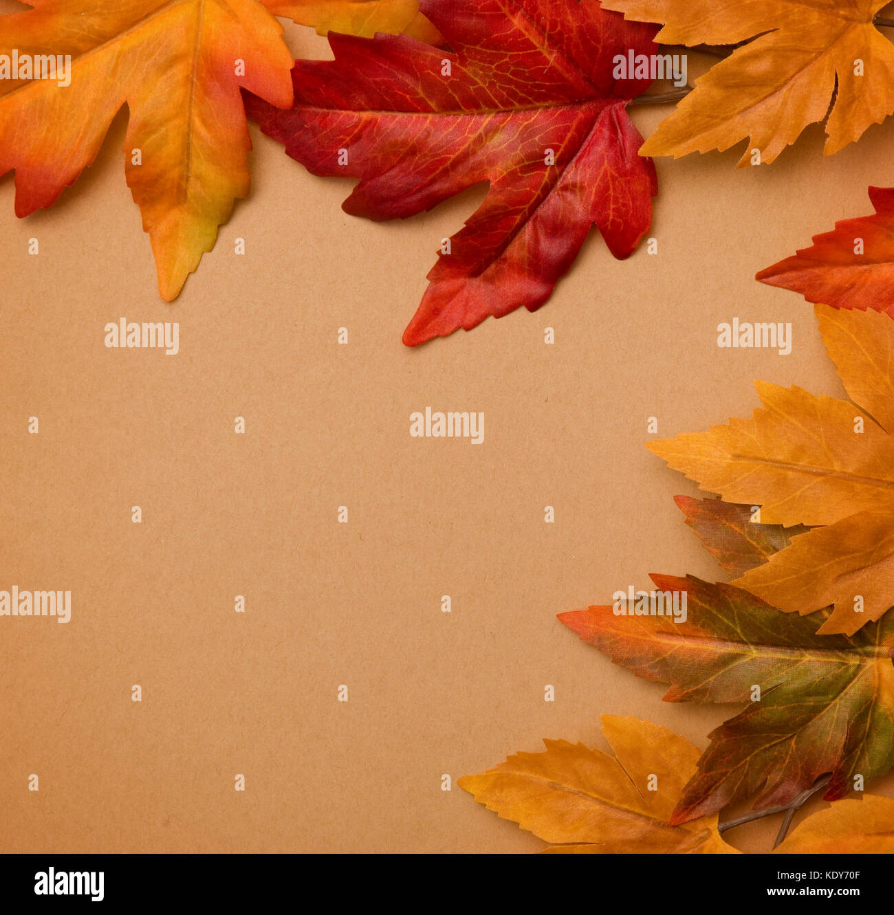 A Border of Autumn Leaves - Add your own writing Stock Photo - Alamy