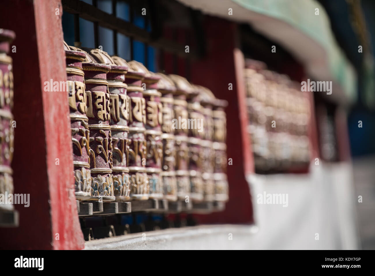 Holy tibetan prayer wheels arrange in row for people rolling in temple ...