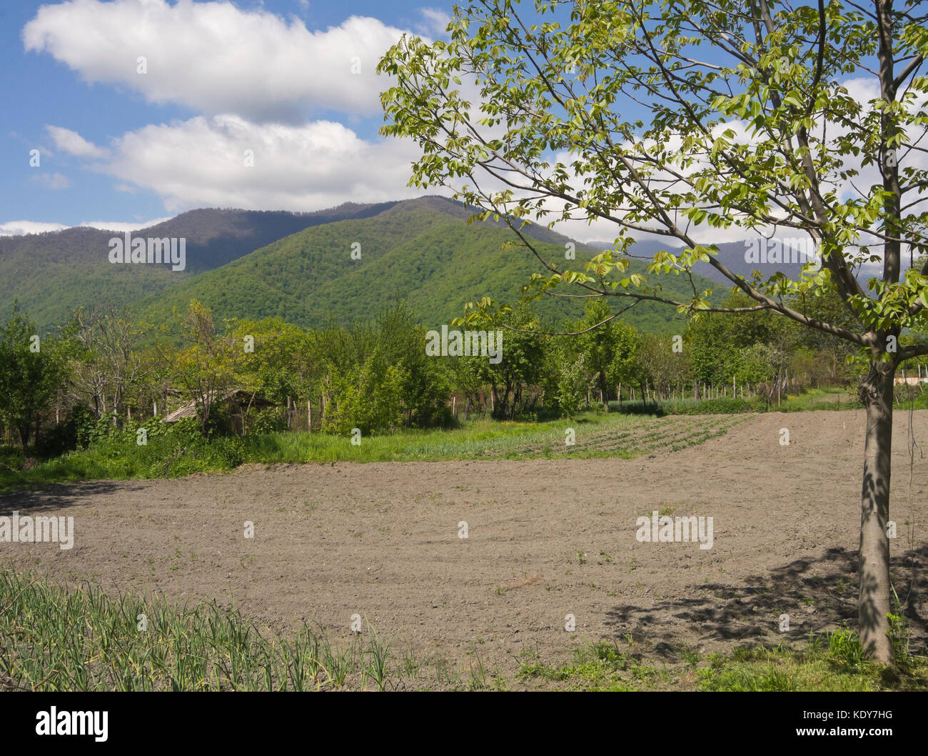Rural landscape near Baisubani in eastern Georgia, newly planted fields ...