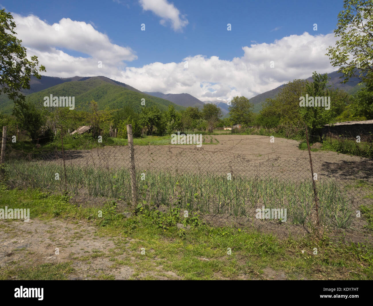 Georgia farm farming agriculture hi-res stock photography and images ...
