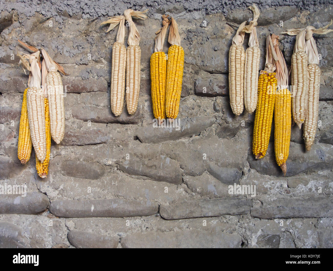 Hung out to dry hi-res stock photography and images - Alamy