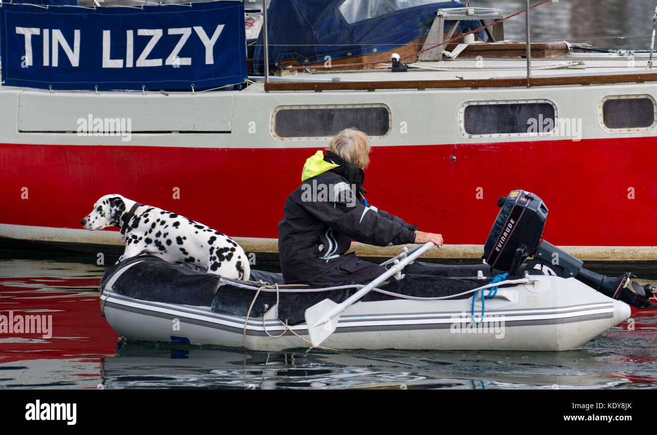 Dalmatian fowey hi-res stock photography and images - Alamy