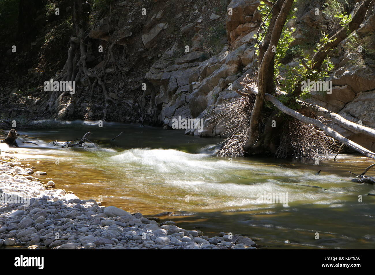 Small river creek and river banks Stock Photo - Alamy
