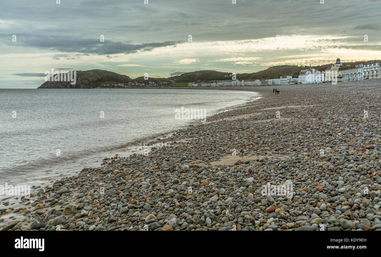 A view of the seafront and Little Orme at Llandudno in North Wales Stock Photo - Alamy