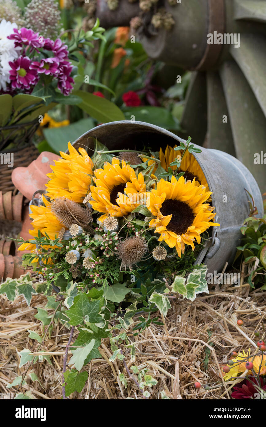 Autumnal Rustic Harvest Festival Display At Weald And Downland Open autumnal-rustic-harvest-festival-display-at-weald-and-downland-open
