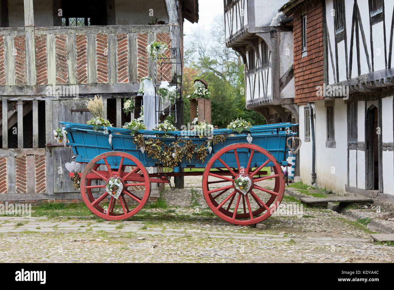 Autumnal horse drawn decorated marriage / wedding cart at Weald and ...