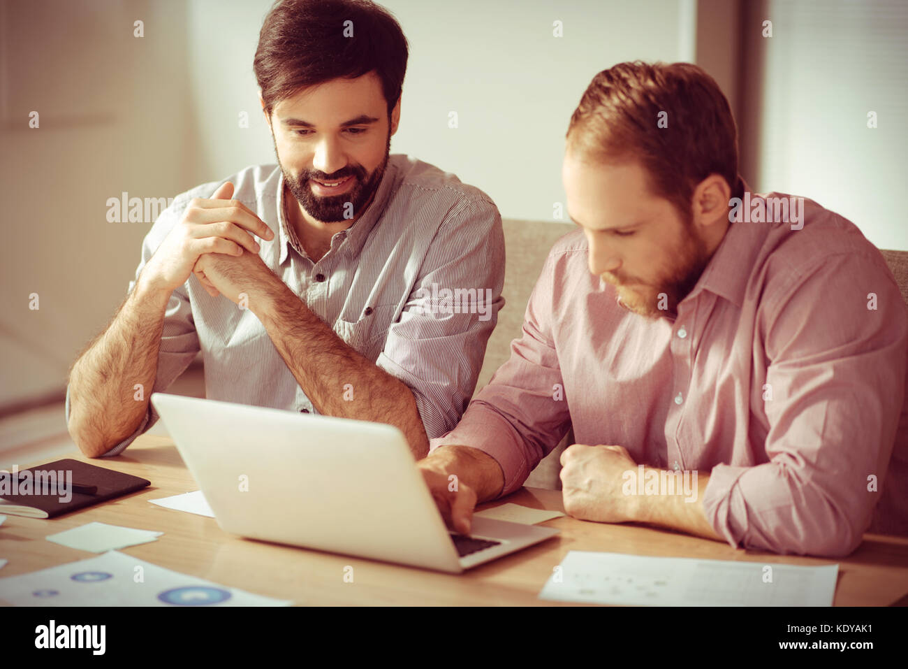 Smart handsome men using a laptop Stock Photo - Alamy