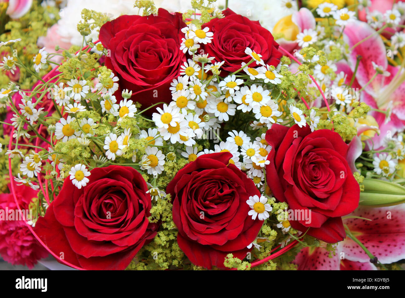 Bouquet of red roses close-up Stock Photo - Alamy