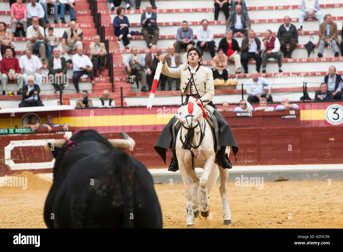 Spanish bullfighter on horseback Diego Ventura bullfighting on ...