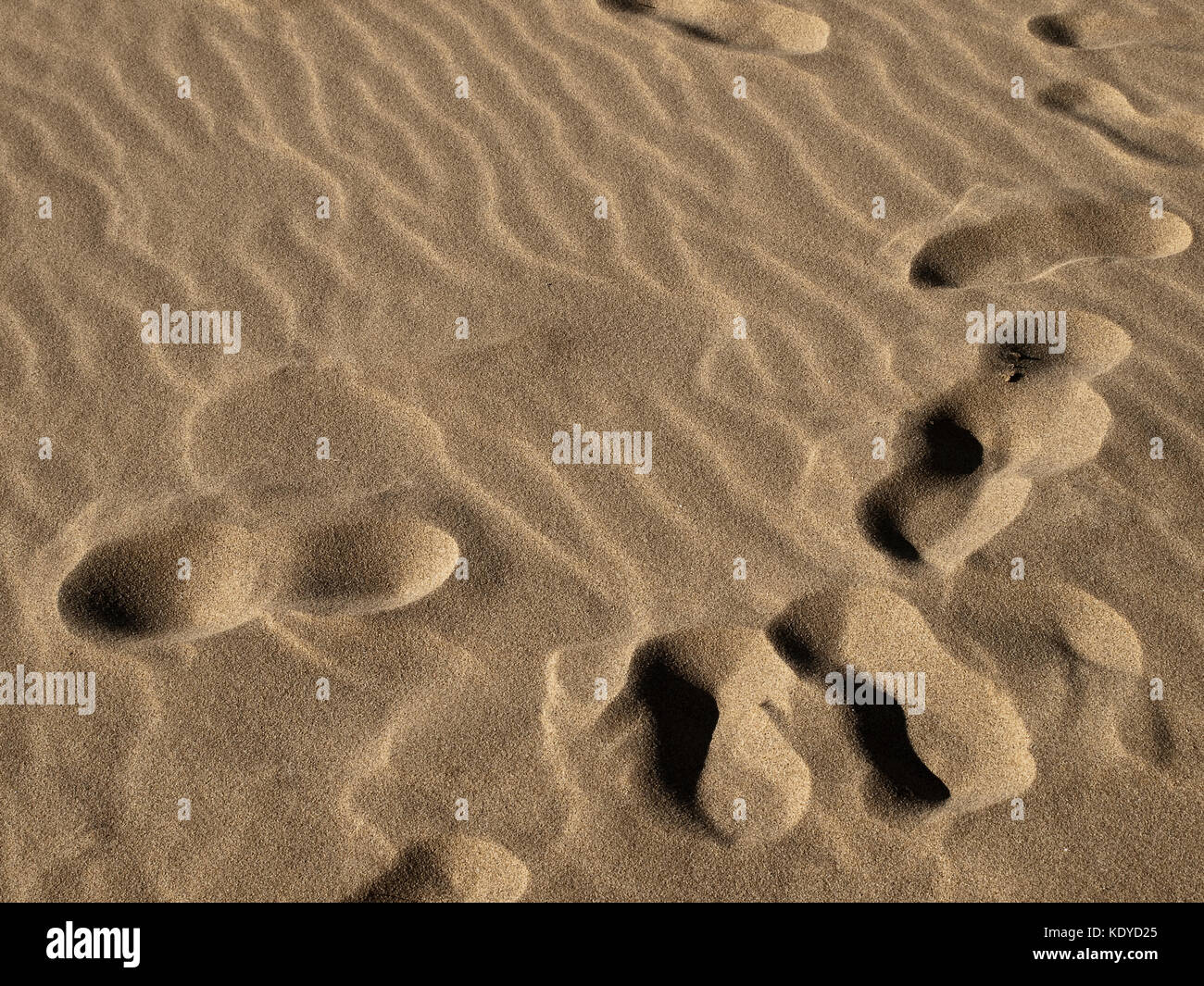 Footsteps or marks on the sand in a desert or on a beach Stock Photo ...